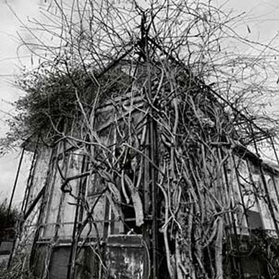 Impure Wilhelmina - Dead Decades - Import Silver Vinyl LP Record Limit ...