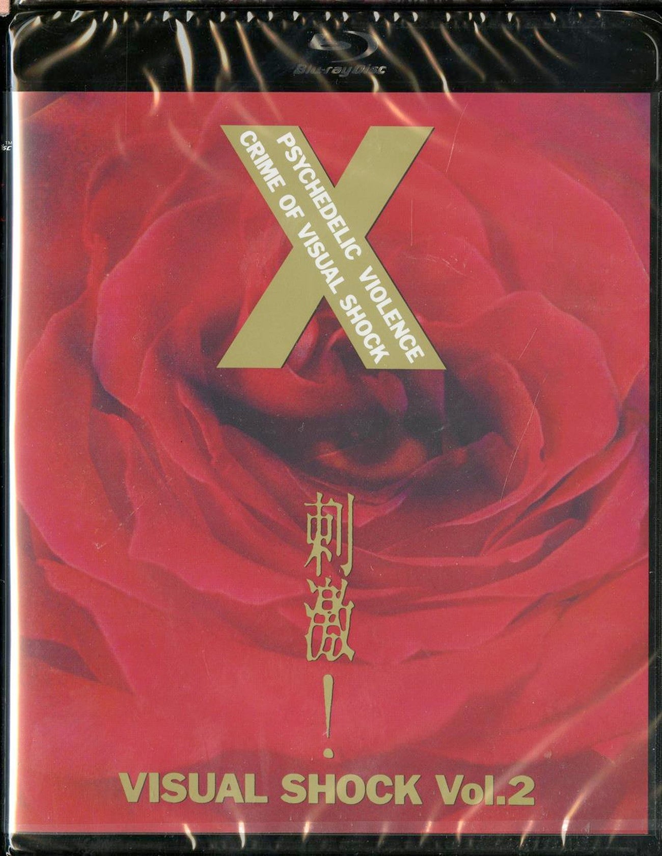 X Japan - Visual Shock Vol.2